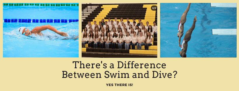 There’s a Difference Between Swim and Dive? | Peak Student Media