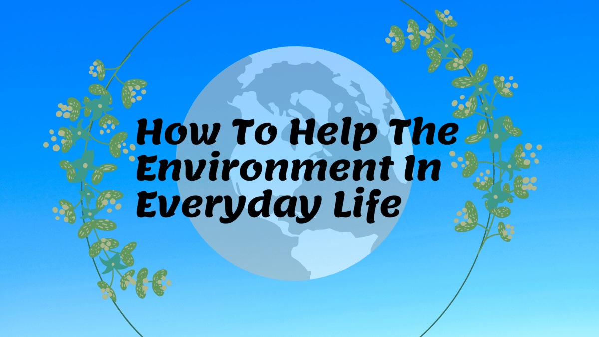How To Help The Environment In Everyday Life | Peak Student Media