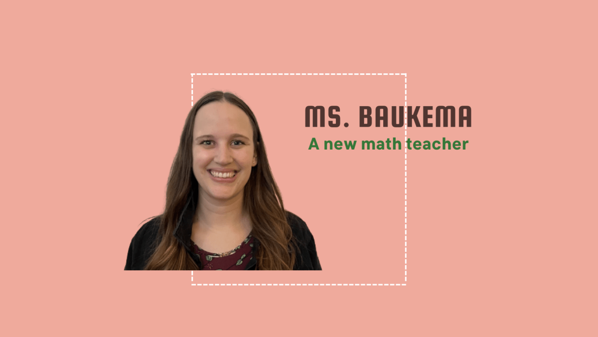 Meet Ms. Baukema, a new math teacher | Peak Student Media
